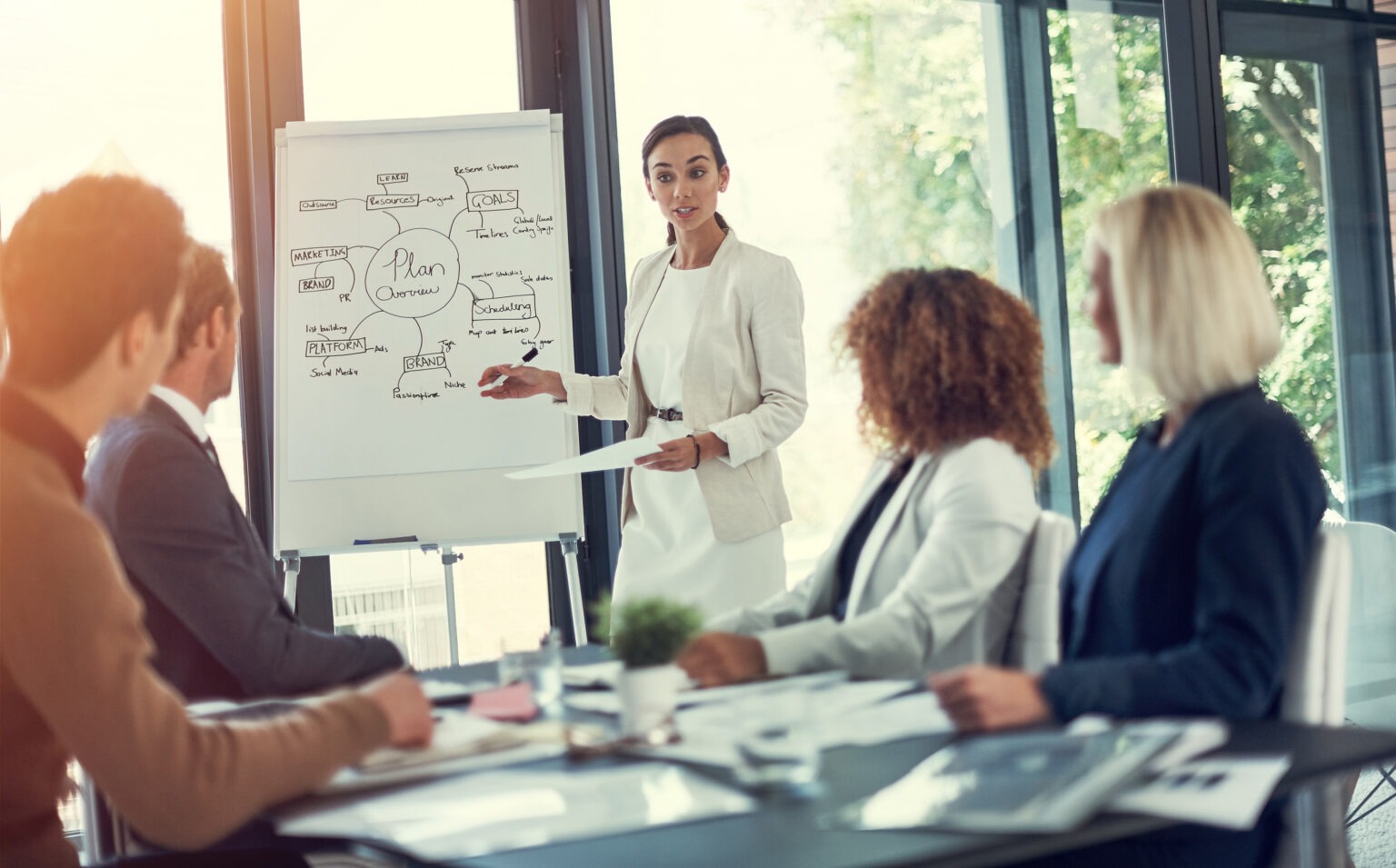 Executive Presentation Skills | Tips | Goals | Key Elements